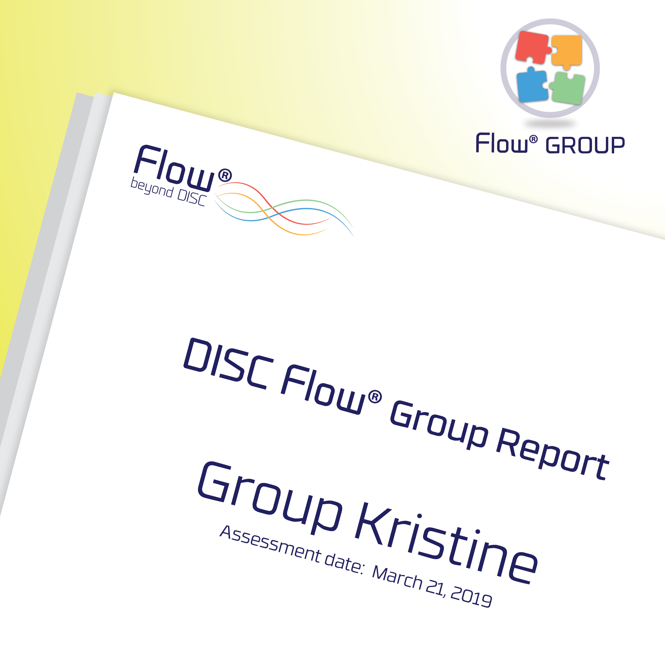 DISC Flow® Group Report | Online Assessment – DISC Flow VN