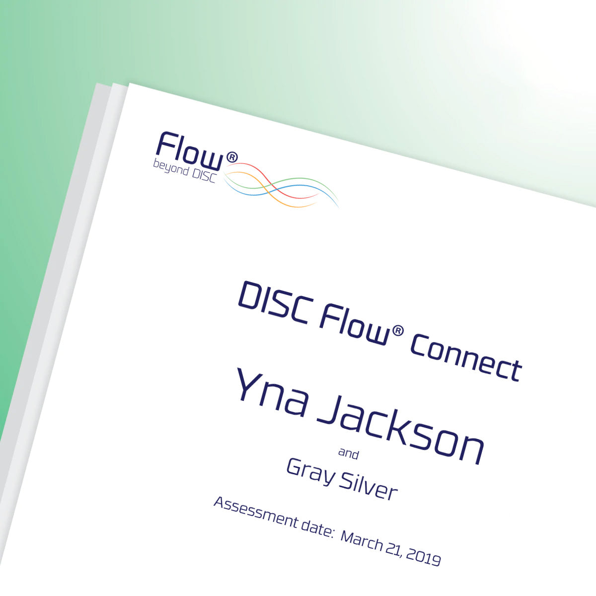 DISC Flow® Connect Report | Online Assessment – DISC Flow VN